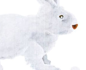 Restauro timido • Aripa Nuances